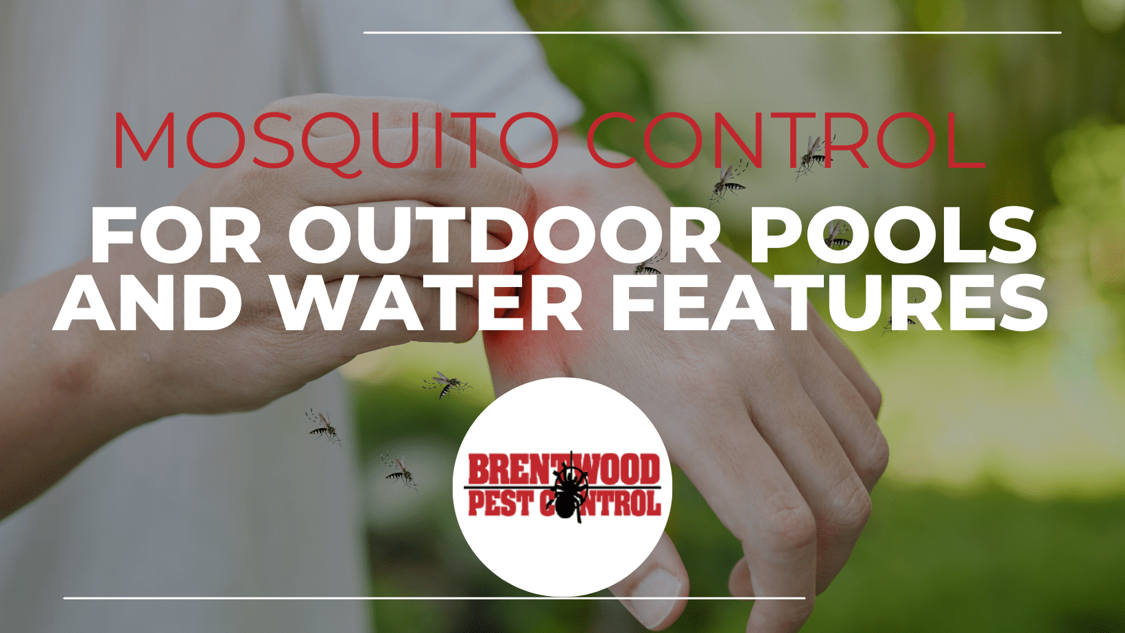 Mosquito Control for Pools and Outdoor Water Features