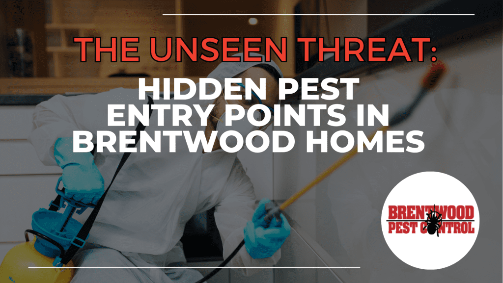 The Unseen Threat: Hidden Pest Entry Points in Brentwood Homes ...
