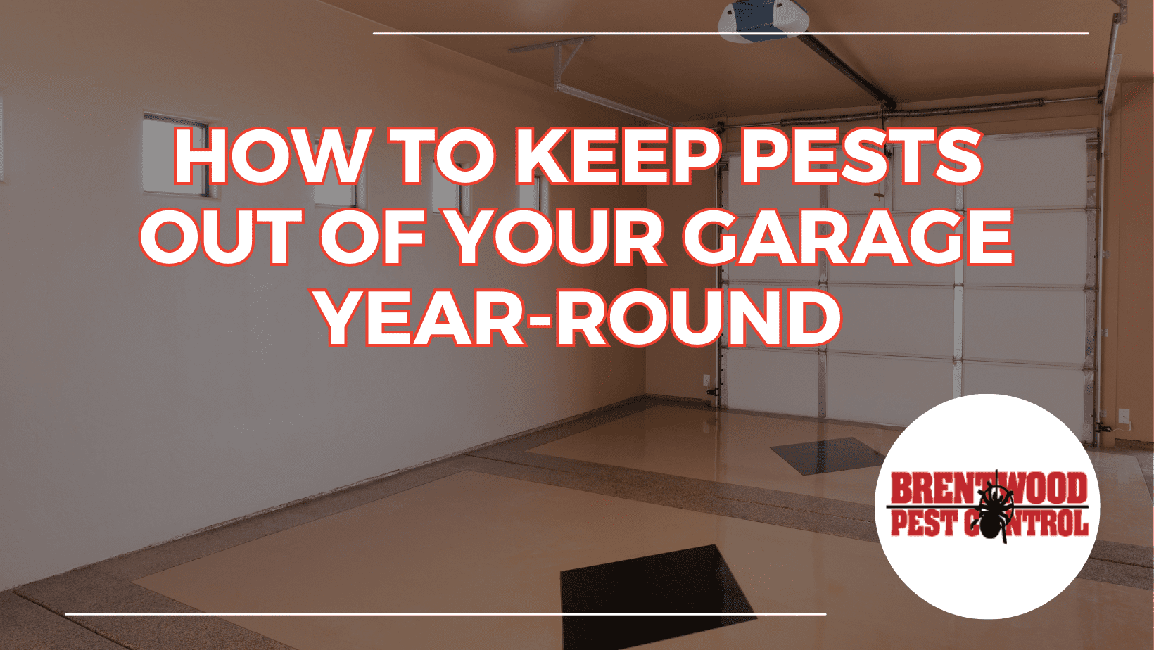 Comprehensive Guide: Keeping Your Garage Pest-Free Year-Round ...