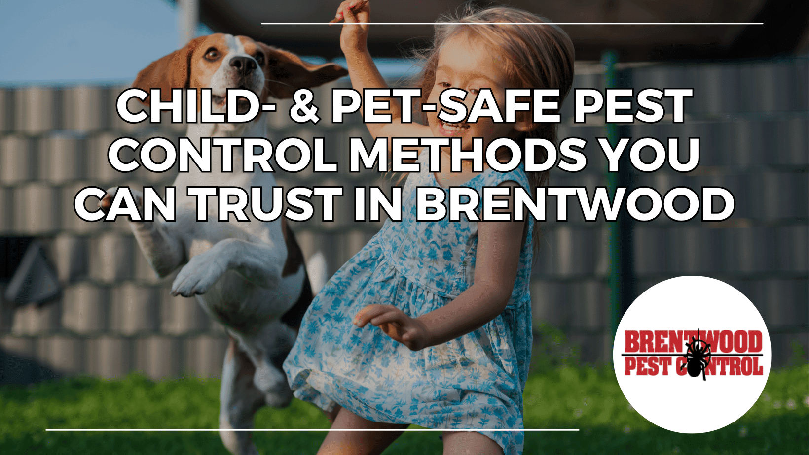 Child- & Pet-Safe Pest Control Methods You Can Trust in Brentwood ...