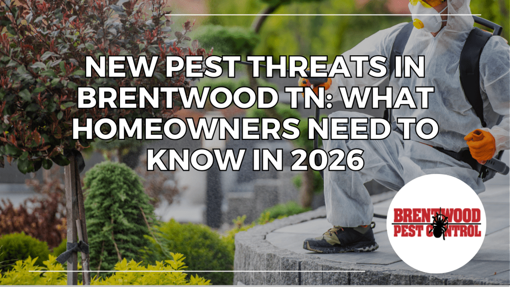 New Pest Threats in Brentwood TN: What Homeowners Need to Know in 2026 ...