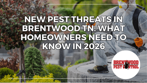 New Pest Threats in Brentwood TN: What Homeowners Need to Know in 2026 ...